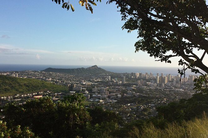 Circle Island 8hr Private Small Group Tour - What We Loved and What to Consider