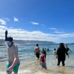 Circle Island Tour - What the Reviews Say