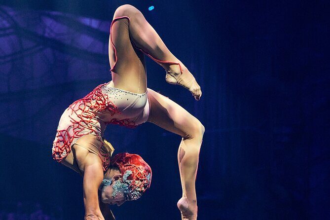 Cirque du Soleil Joya Show Tickets - What Reviewers Say