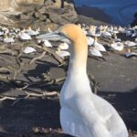 City & Coast & Country  A Relaxed Day Tour from Auckland - What to Expect from the Tour