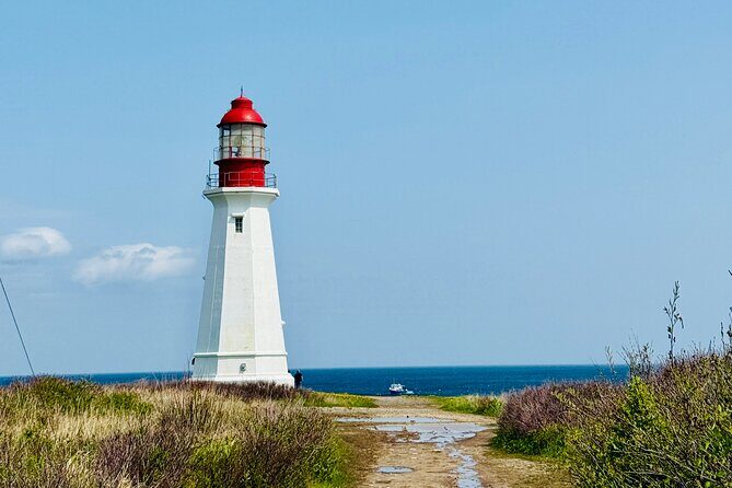 City Sights and Shoreline Tour - Is This Tour Worth It?