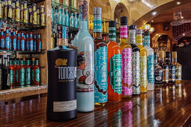 City Tour, Cultural Experience at Cancun! Private Transportation - Final Thoughts: Who Will Love This Tour?