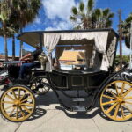 City tour on electric horse wagon. - Who Should Consider This Tour?