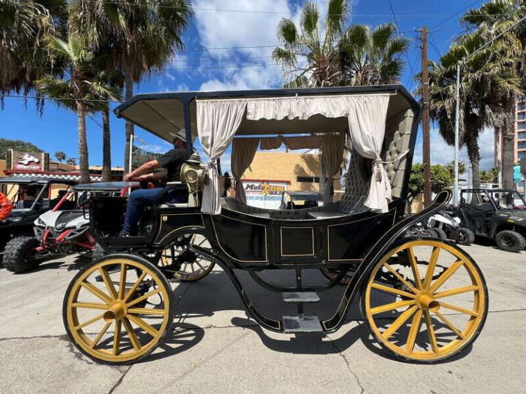 City tour on electric horse wagon. - Who Should Consider This Tour?