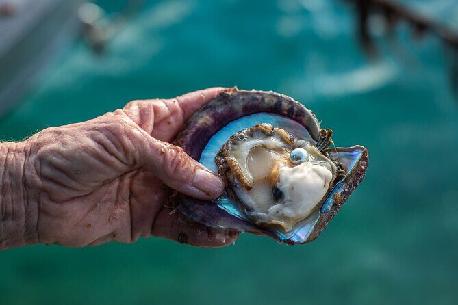 CityTour in Cabo San Lucas and Transparent Boat Tour to the Arch - The Experience: What You Can Expect