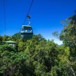 Classic Kuranda by Skyrail and Scenic Railway, Rainforestation & lunch. CKB - Transport & Logistics
