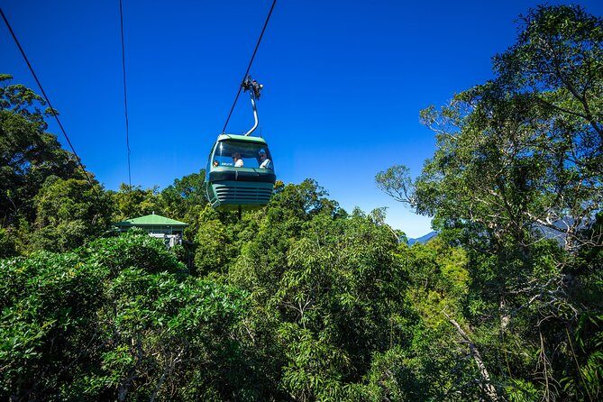 Classic Kuranda by Skyrail and Scenic Railway, Rainforestation & lunch. CKB - Transport & Logistics