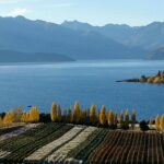 Classic Wanaka Wine Tour - FAQ