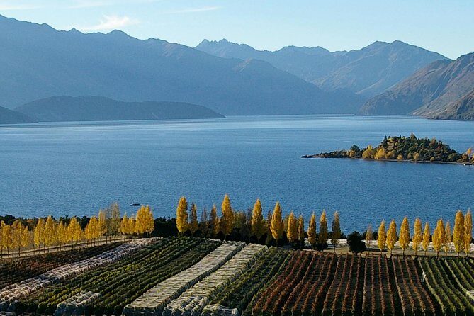 Classic Wanaka Wine Tour - FAQ