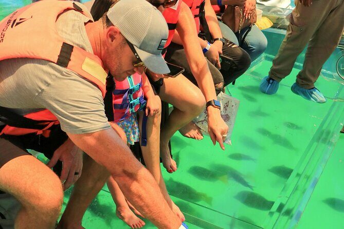 Clear Boat at Cozumel Island! Round Transportation From Playa Del Carmen - FAQ