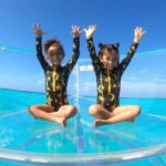 Clear Boat Tour from Cancun - Who Will Love This Tour?