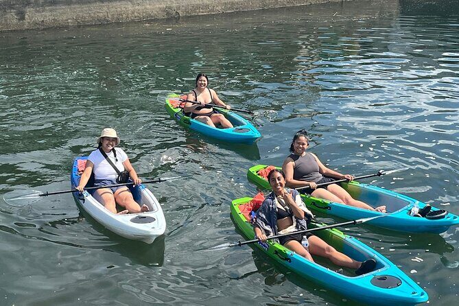 Clear Bottom Kayak Rental for Kings Bay Three Sisters Springs - Exploring Kings Bay on a Clear Bottom Kayak