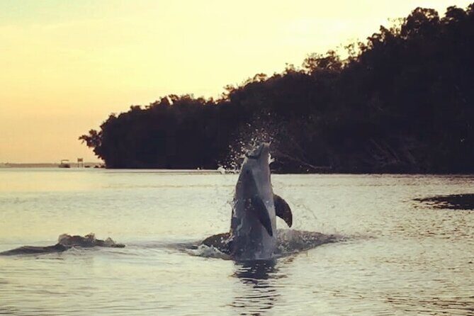 Clear Kayak Sunset Tour - Cocoa Beach - What’s Included and What’s Not