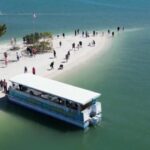 Clearwater Beach: Dolphin & Island Sandbar Cruise - The Sum Up