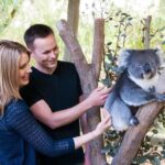 Cleland Wildlife Park Experience with Mount Lofty Summit - Why This Tour Is a Great Choice