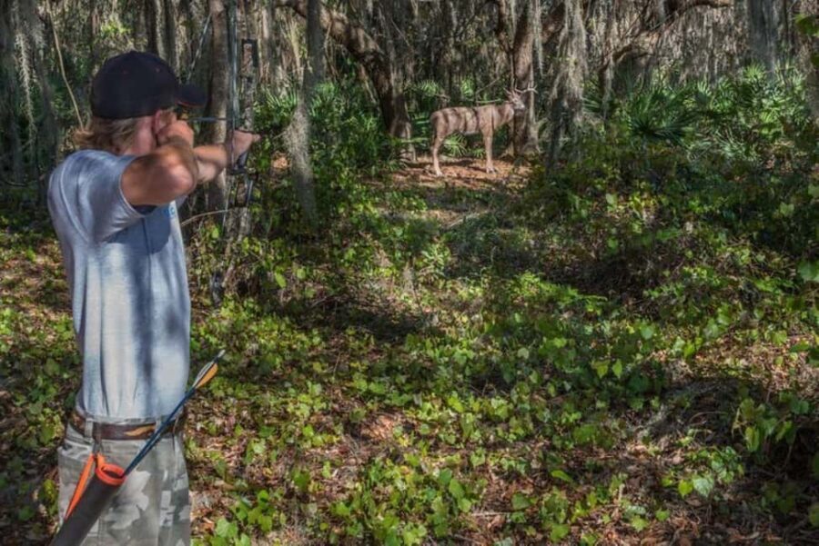 Clermont: Archery Tag Experience - What to Expect During the Session