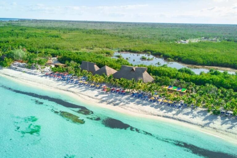 Coastal Thrill Day: Kayak, Paddle & Snorkel at Cozumel - Final Thoughts