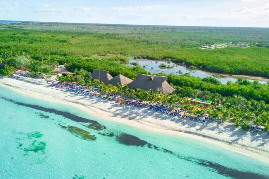 Coastal Thrill Day: Kayak, Paddle & Snorkel at Cozumel - Final Thoughts