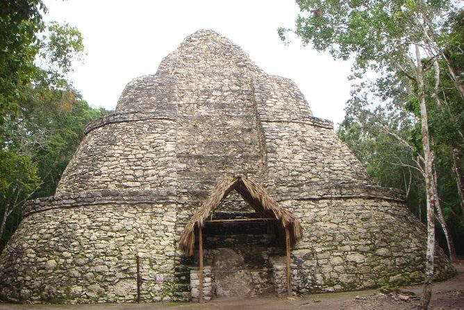 Coba Cenote and Maya Village Private Guided Tour - Who Would Love This Tour?