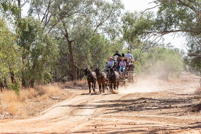 Cobb & Co Stagecoach Experience in Longreach - What Travelers Are Saying