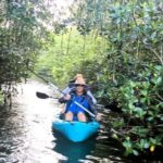 Cocoa Beach/Merritt Island: Guided Dolphin and Manatee Tour - Exploring the Tour Itinerary and Experience