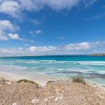 Coffin Bay National Park Half-day 4WD Tour - What Makes the Experience Special