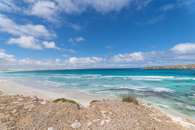 Coffin Bay National Park Half-day 4WD Tour - What Makes the Experience Special