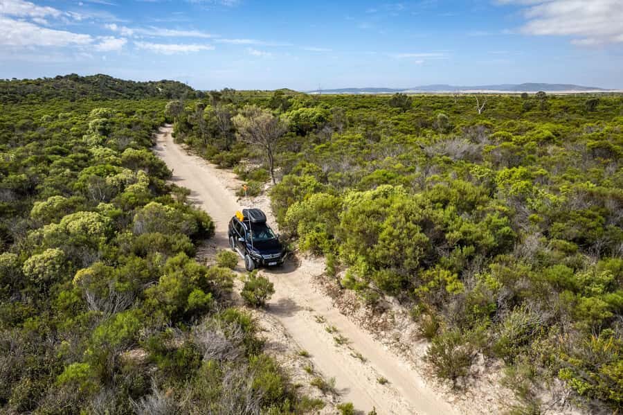 Coffin Bay National Park: Highlights and Off-Road 4WD Tour - Highlights of the Tour