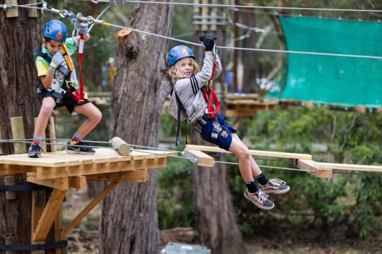 Coffs Harbour: Junior Tree Ropes Course - The Sum Up