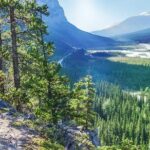 Coho - Explore Banff and Jasper National Parks (4-Days) - Practical Details & Considerations