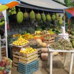 colima cultural and volcano - In-Depth Look at the Tour