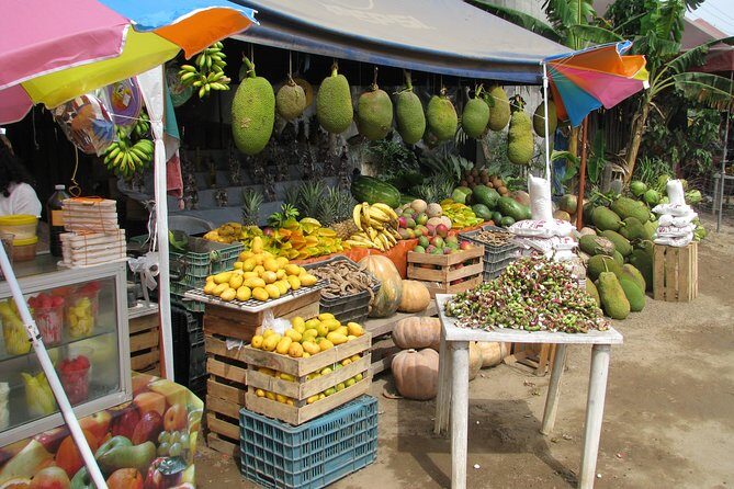 colima cultural and volcano - In-Depth Look at the Tour