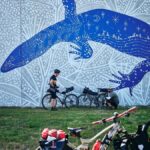 Collie: Mural Town Tour - Why This Tour Is a Great Choice