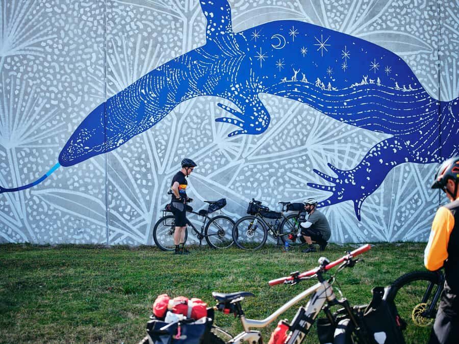 Collie: Mural Town Tour - Why This Tour Is a Great Choice