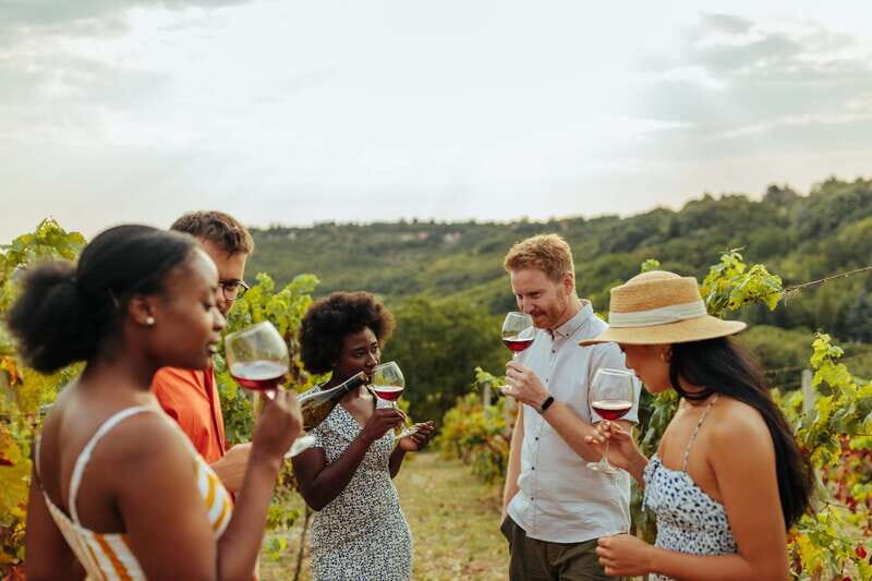 Collingwood: Blue Mountains Wine and Cider Tasting Tour - Exploring the Itinerary in Detail