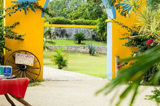 Colonial Valladolid and Cenote Swimming Private Tour from Cancun - The Cultural and Culinary Heart at Hacienda San Lorenzo Oxman