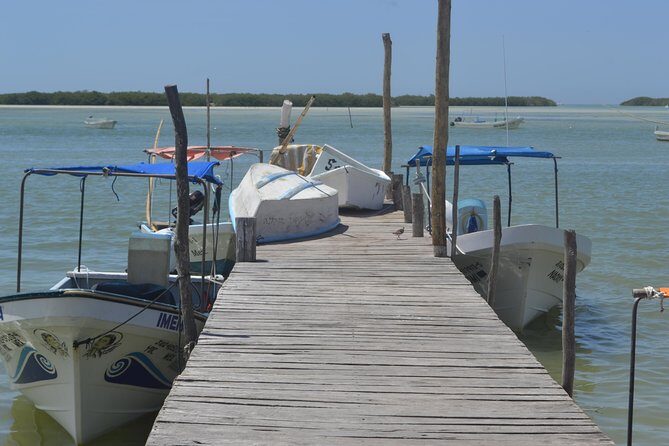 Coloradas Bioexperiences - An In-Depth Look at the Itinerary