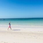 Coloradas, Ria Lagartos Boat Trip & One Natural Beach from Merida - A Closer Look at the Itinerary