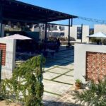 Colors of Ensenada Painting and Wine - What You Can Expect from the Experience