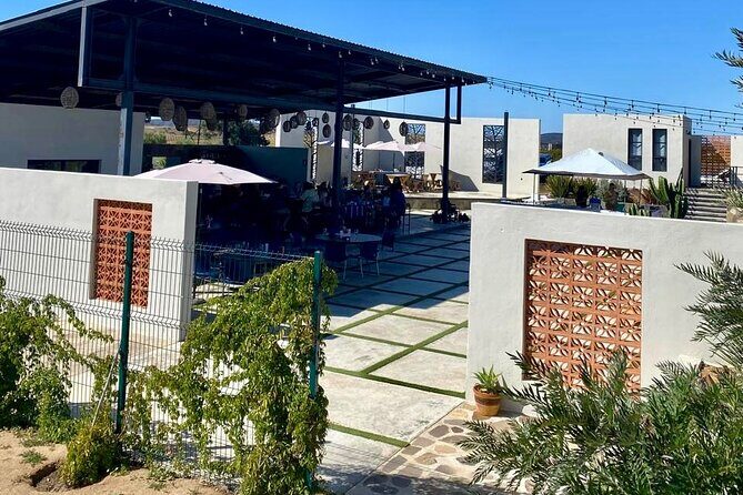 Colors of Ensenada Painting and Wine - What You Can Expect from the Experience