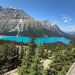 Columbia Icefield, Skywalk, Crowfoot Glacier, and Lakes Tour - Additional Scenic Gems and Ease of Travel