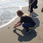 Combo 6 Hr Tour All City Highlights Divers Baby Turtle Release - Who Would Love This Tour?