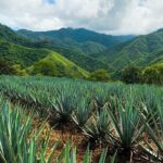 Combo Extreme Adventure + San Sebastian - What Reviewers Say About This Tour