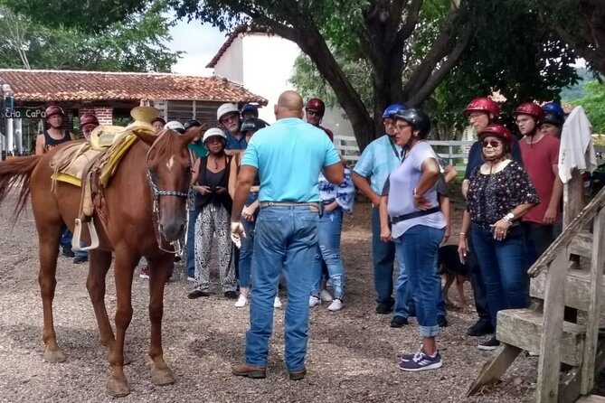 Combo Horse Back Riding and Zip Line in Vallarta - Authentic Insights from Guest Feedback