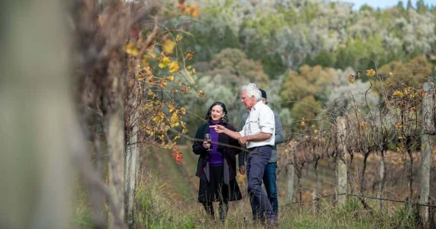 Combo: Hunter Valley Tour + Sydney Hop-on-Hop-off Bus Ticket - Why This Tour Offers Great Value