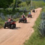 COMBO Zip lines and ATV´s at Hacienda Los Osuna - Why This Tour Offers Great Value