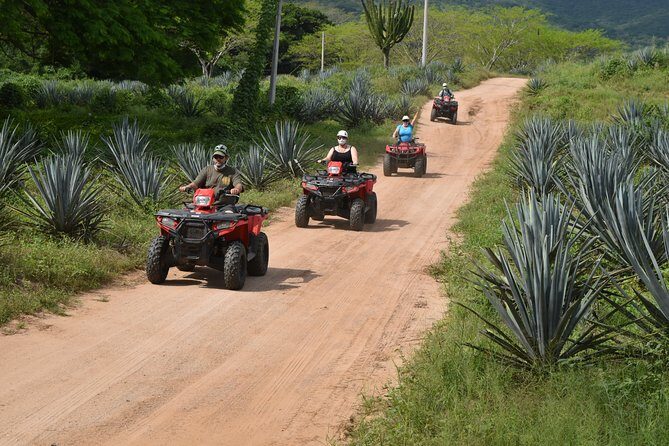 COMBO Zip lines and ATV´s at Hacienda Los Osuna - Why This Tour Offers Great Value
