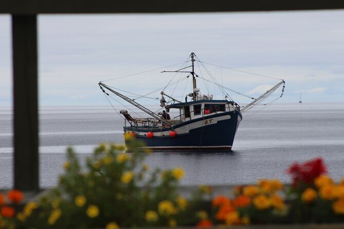 Conception Bay Tour Experience - Who Should Book This Tour?