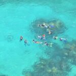 Contoy Caribbean Adventure! Round Transportation from Cancun - Snorkeling at Ixlaché Reef: A Marine Wonderland