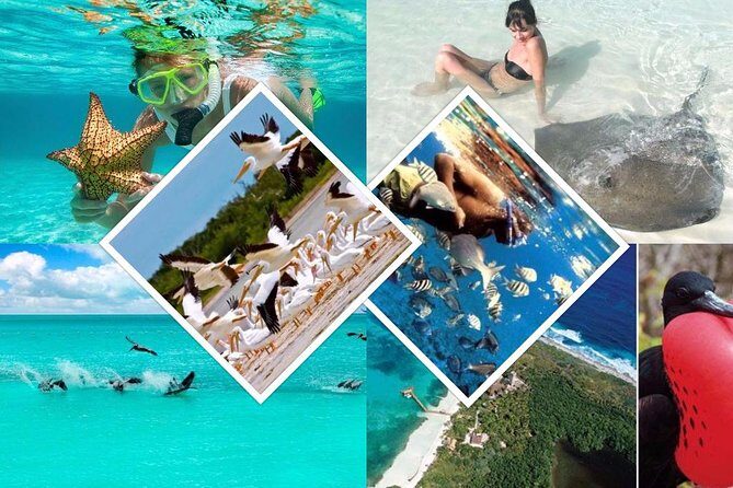 Contoy Island - Exploring the Itinerary